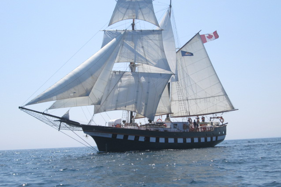 FAIR JEANNE - Sail On Board